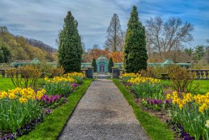 Northwell Health Ice Center - Nassau County Long Island