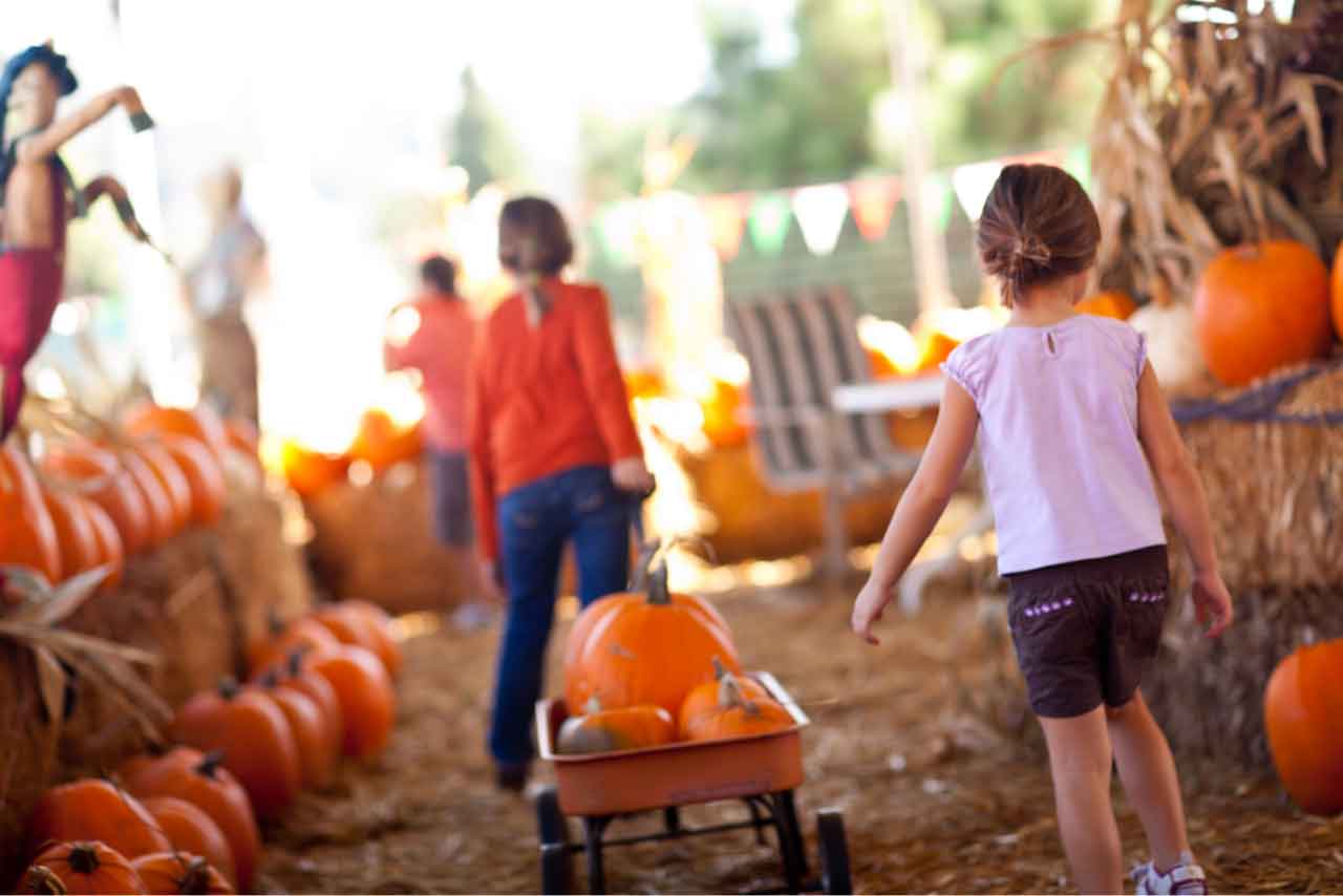 7 Ticketed Events in Nassau County this Fall - Nassau County Long Island